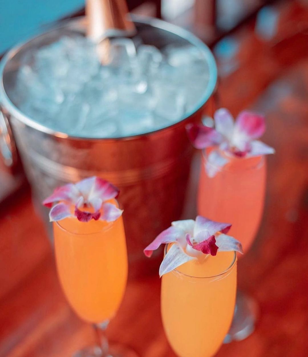 LuLu s Waikiki Aloha Secrets LuLu s Waikiki Aloha Secrets
